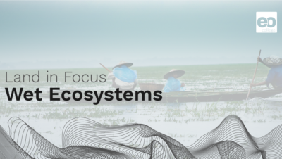 Courses – EO College