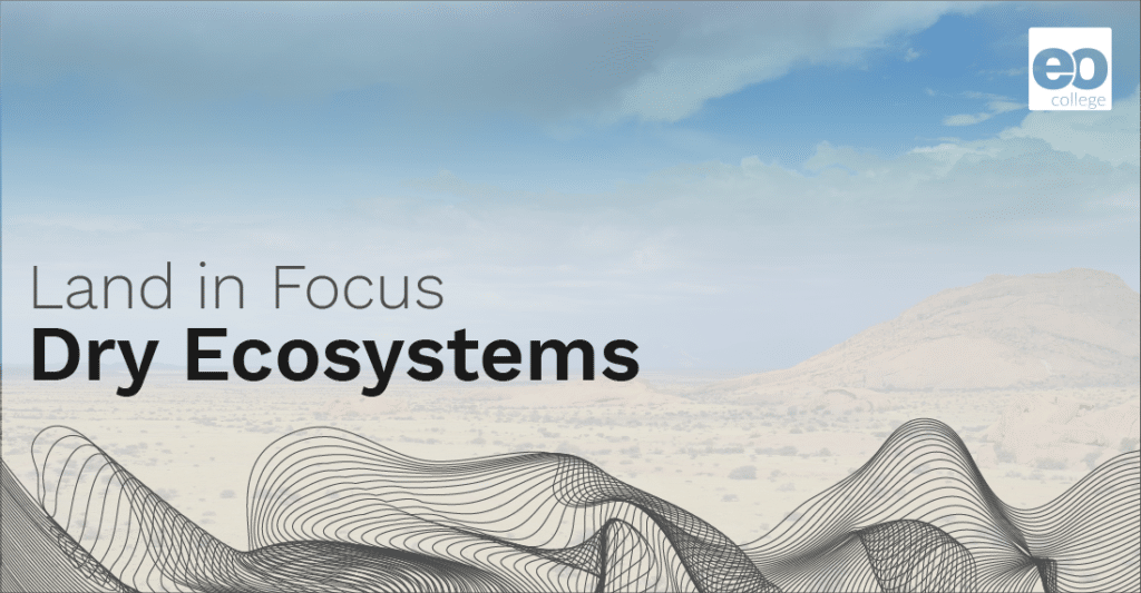 Land in Focus – Wet Ecosystems – EO College