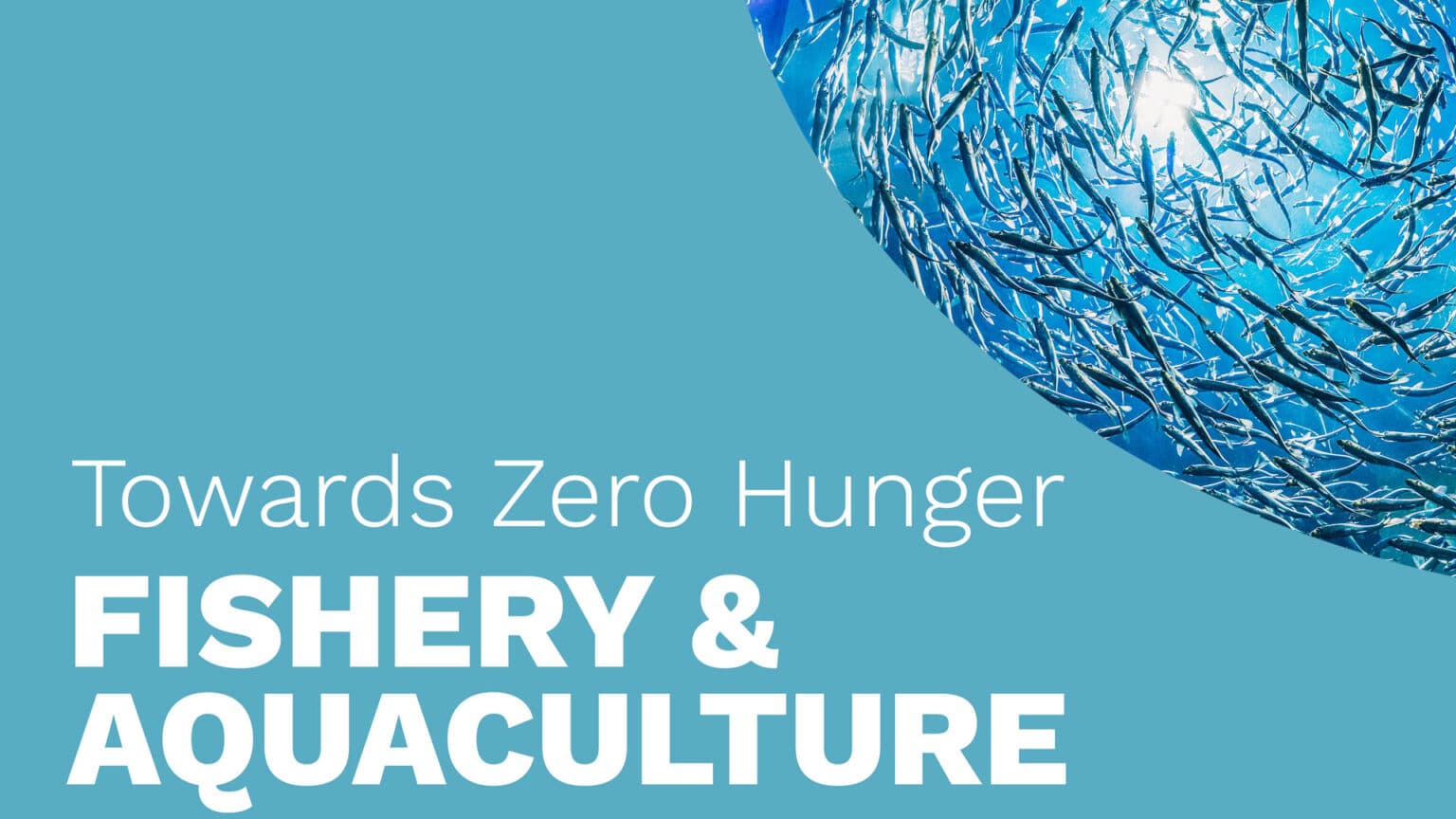 EO College – Digital learning, sustainable future.