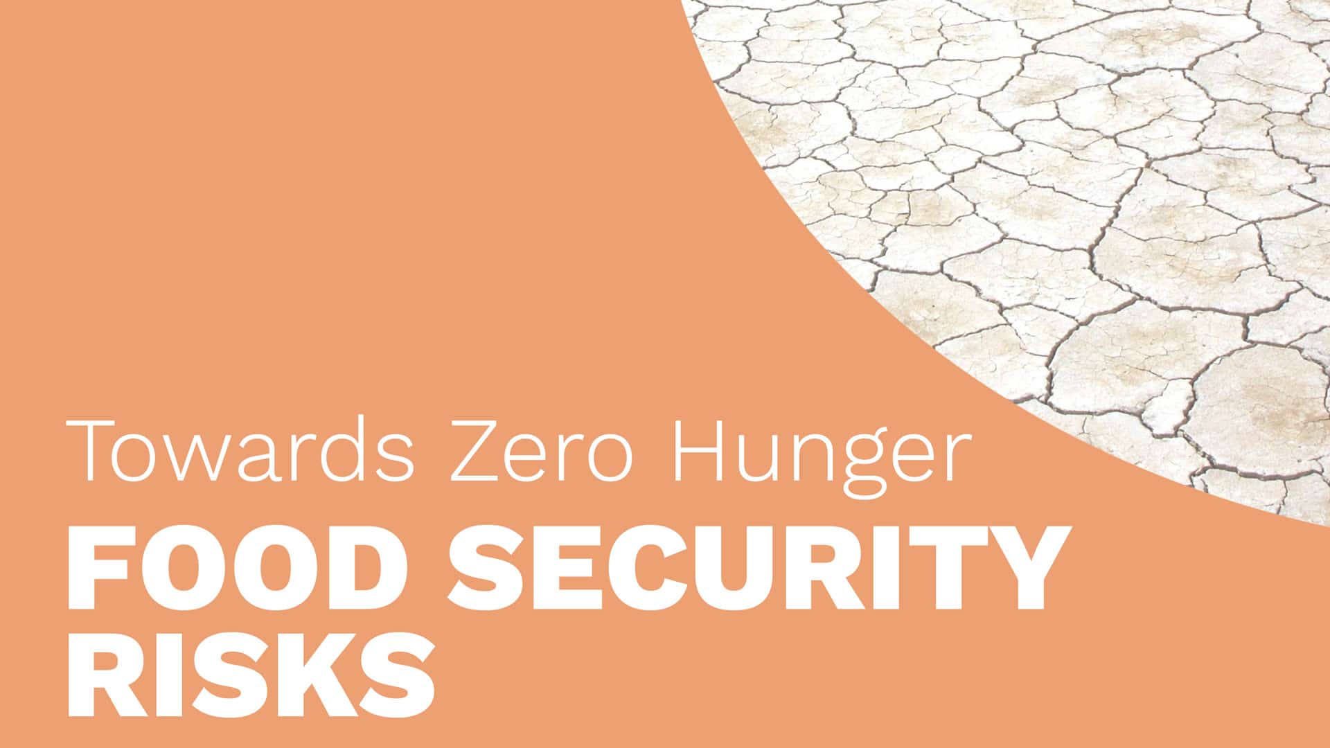 Towards Zero Hunger – Food Security – EO College