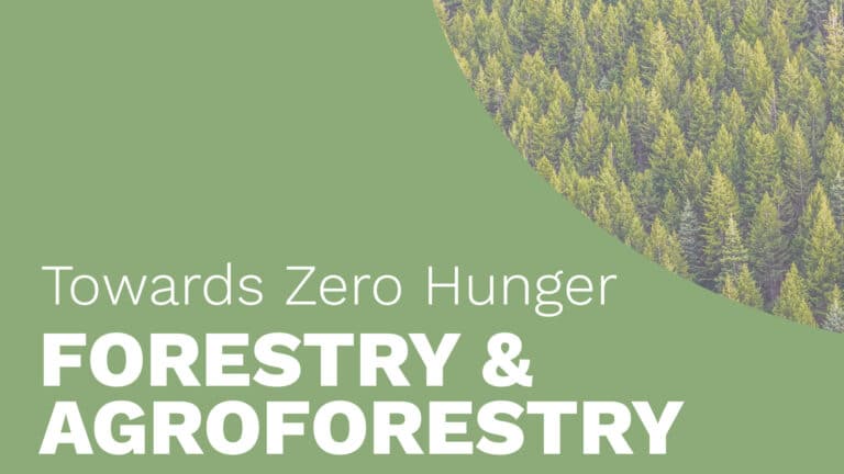 Towards Zero Hunger – SDG 2: Zero Hunger – EO College