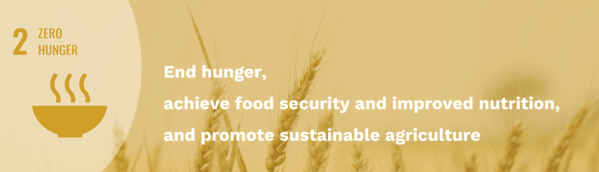 Towards Zero Hunger – EO College