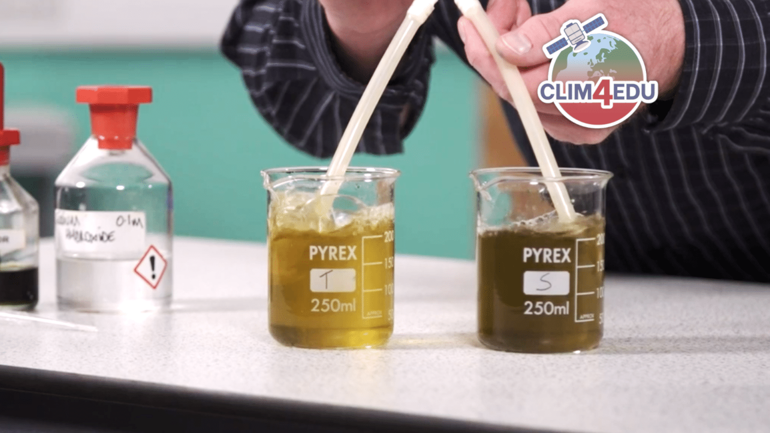 EO College – Digital learning, sustainable future.