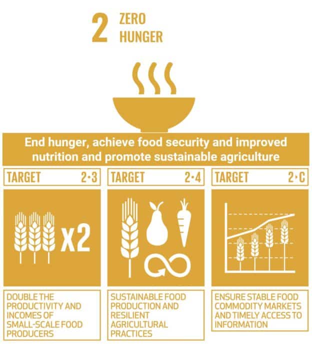 Towards Zero Hunger – Water & EO: Fishery and Aquaculture – EO College